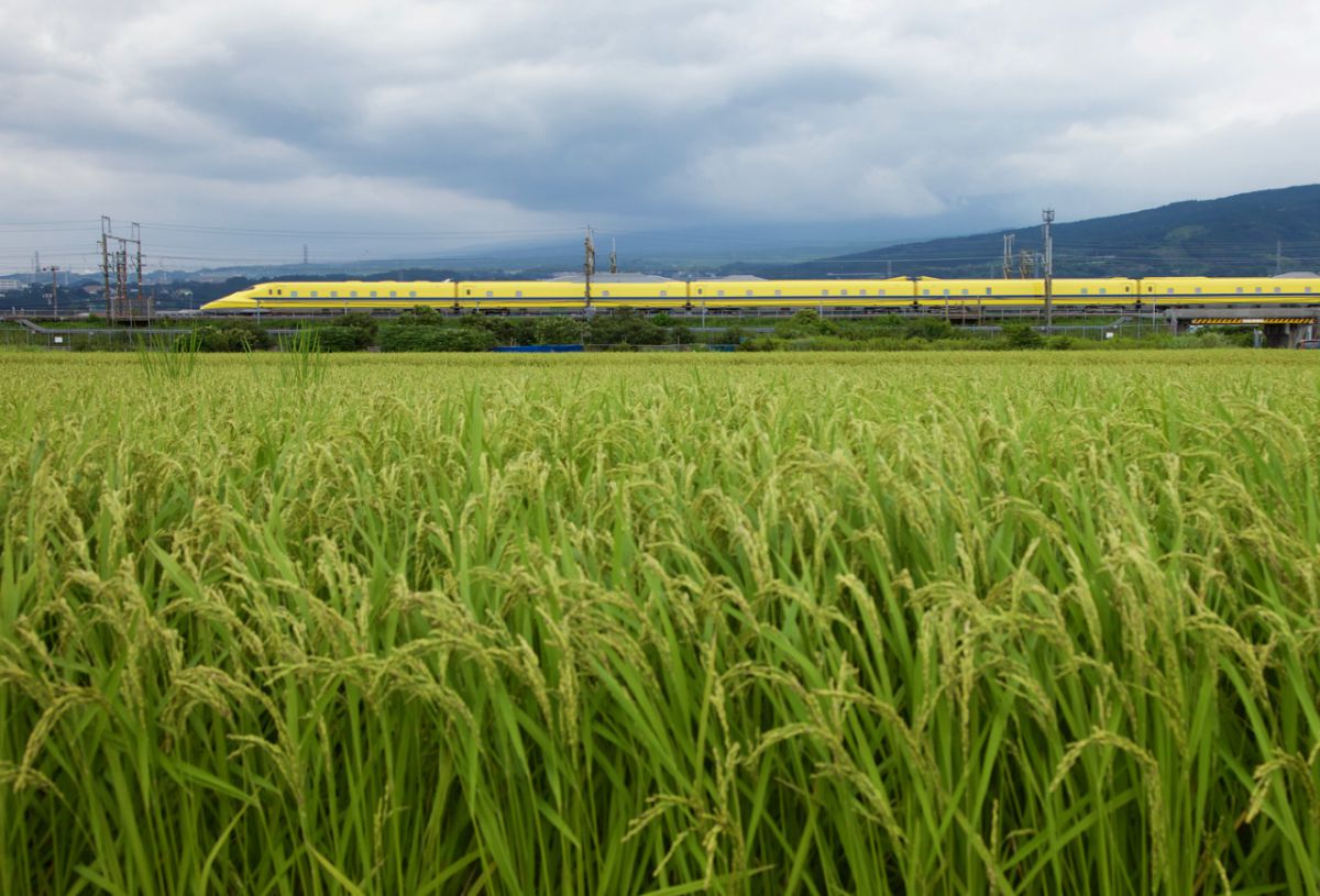 Drイエロー3.jpg | GANREF