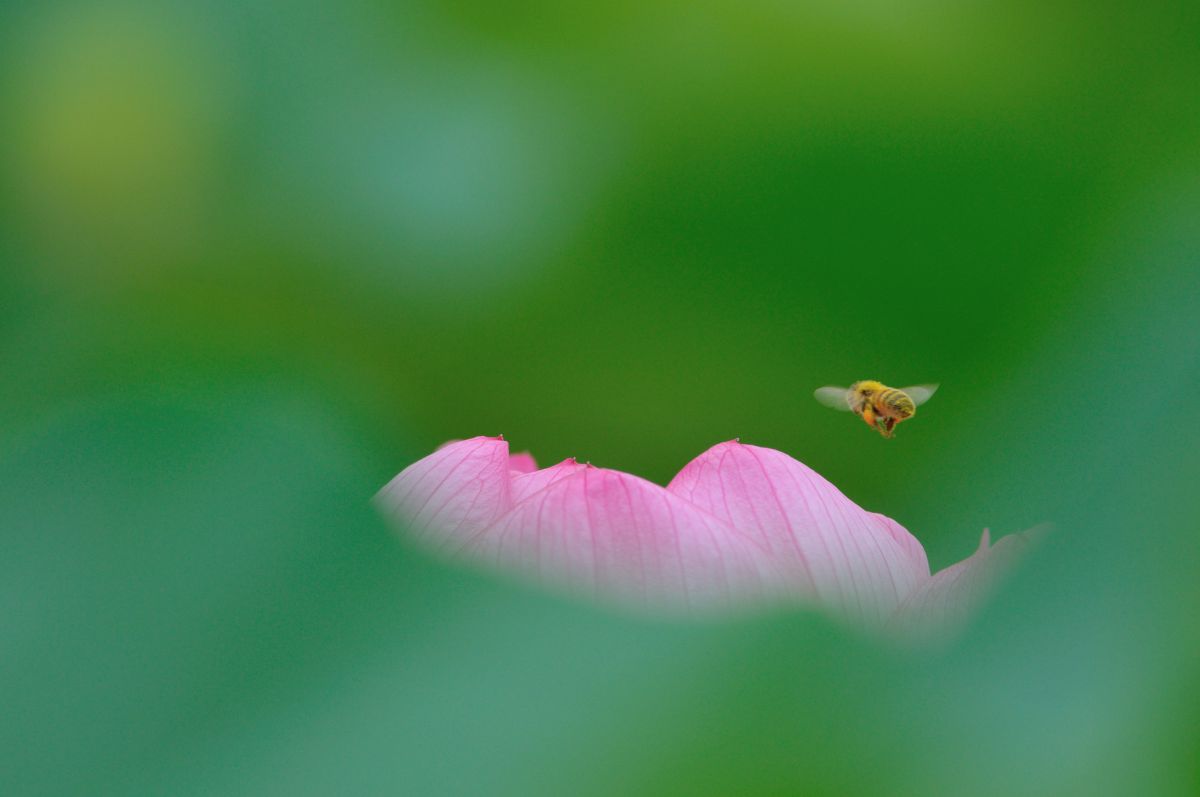 Into the new world | GANREF