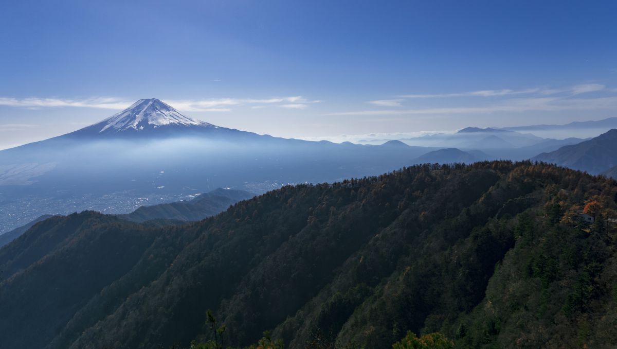 DSC02236.jpg | GANREF