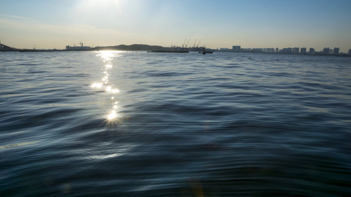 Sparkling.jpg | GANREF