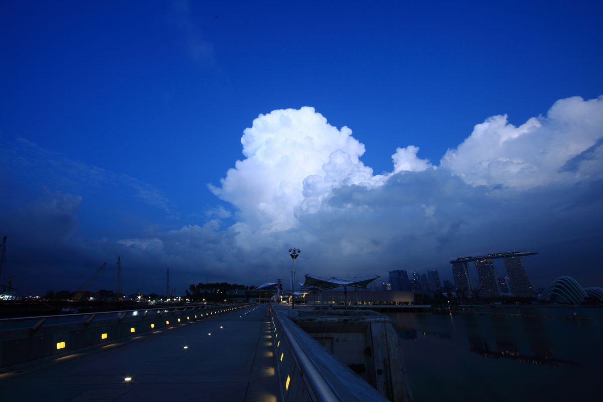 from bay area | GANREF