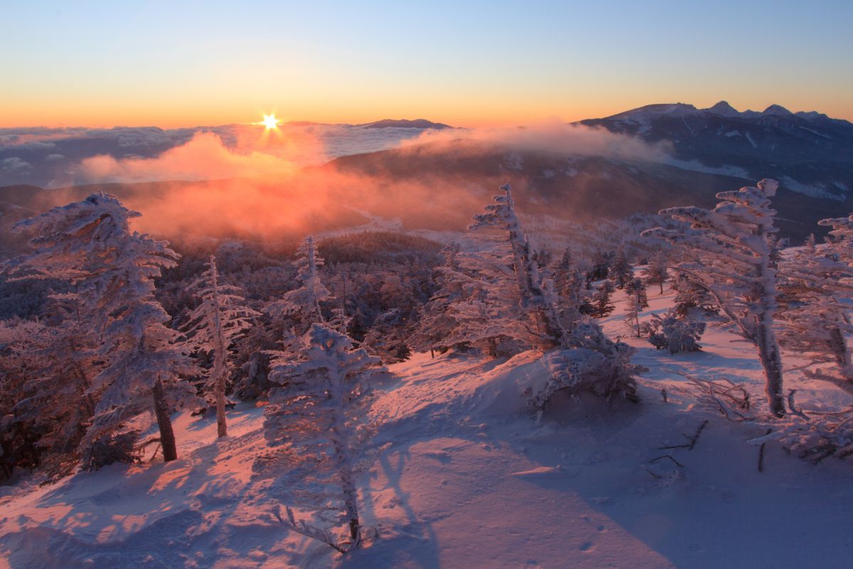 freezing sun | GANREF