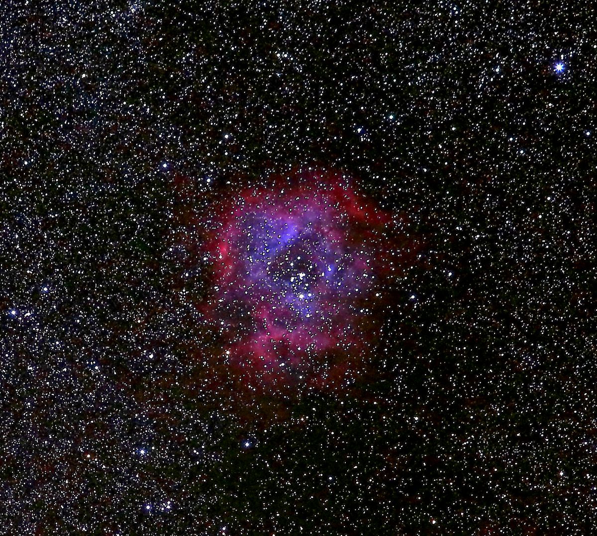 The Rosette Nebula | GANREF