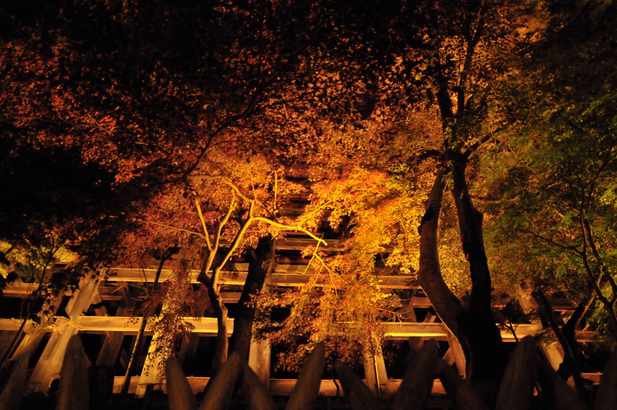 清水の舞台から | GANREF