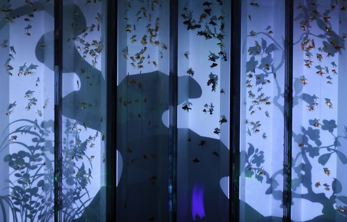 屏風水槽 ① | GANREF