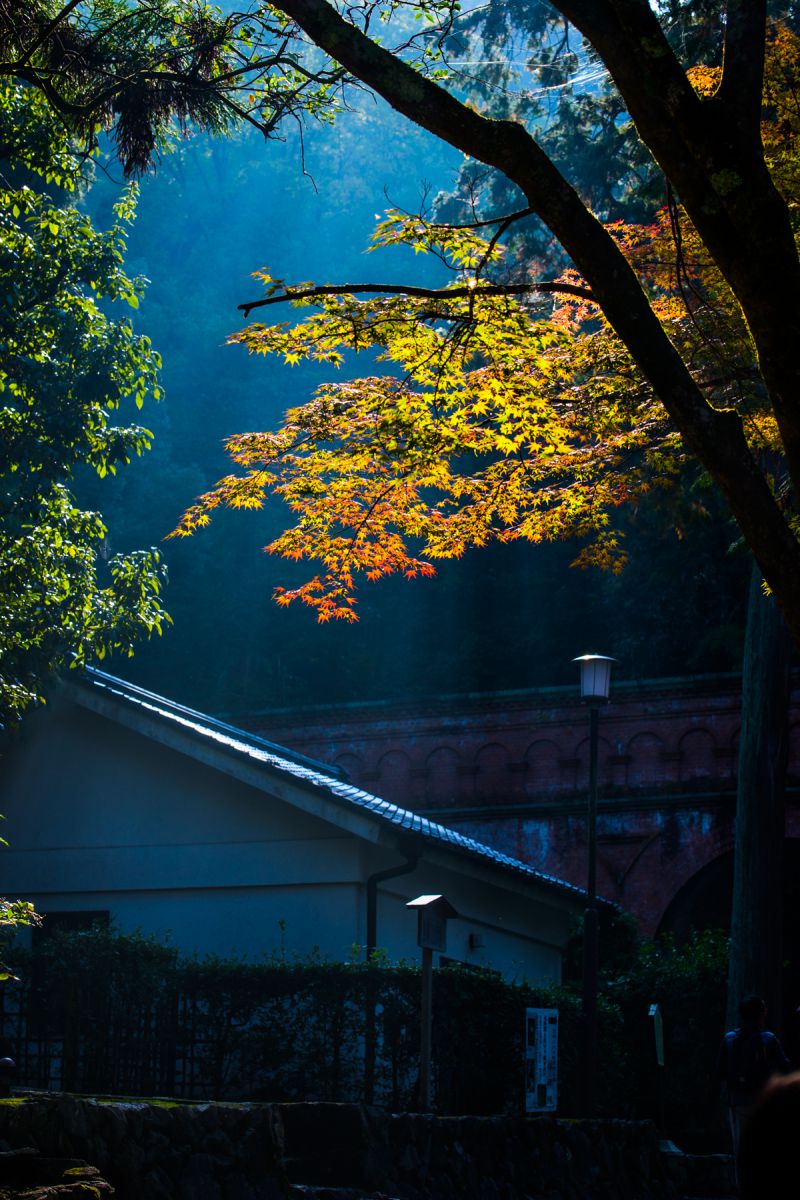 天然ライトアップ | GANREF