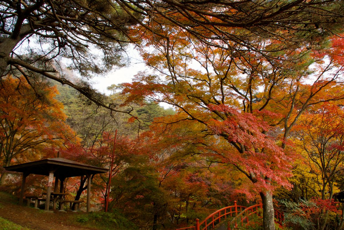 紅葉の月見橋と東屋 | GANREF
