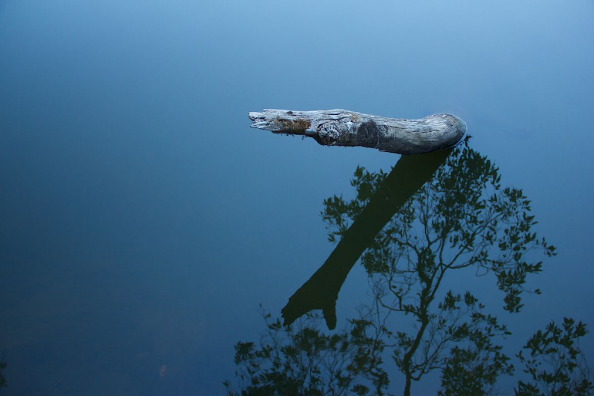 Collie River | GANREF