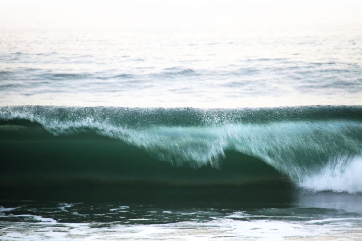 Surf Break ! | GANREF