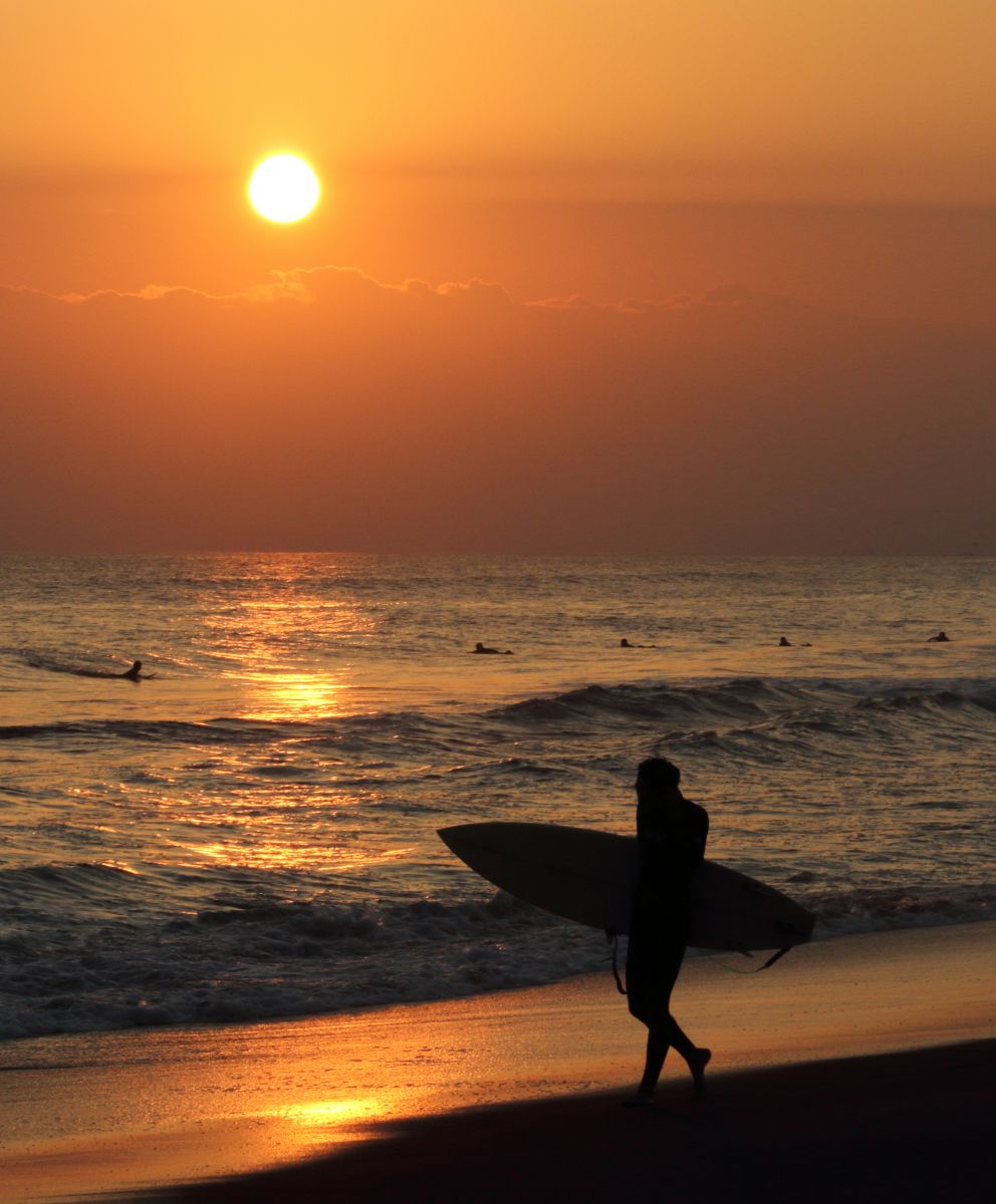 Endless Summer | GANREF