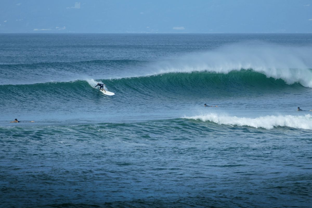 Typhoon swell | GANREF