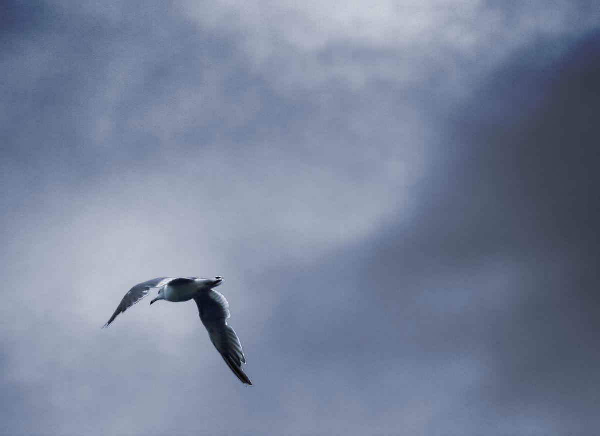 cloudy blue | GANREF