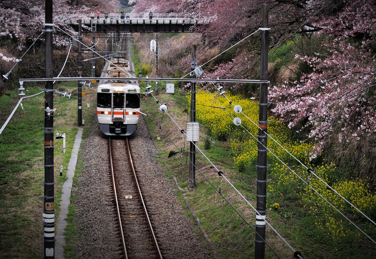 single‐track railroad | GANREF