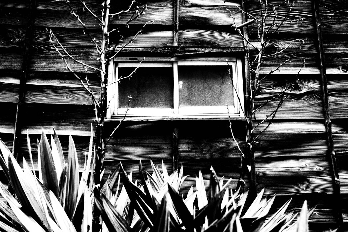 window | GANREF