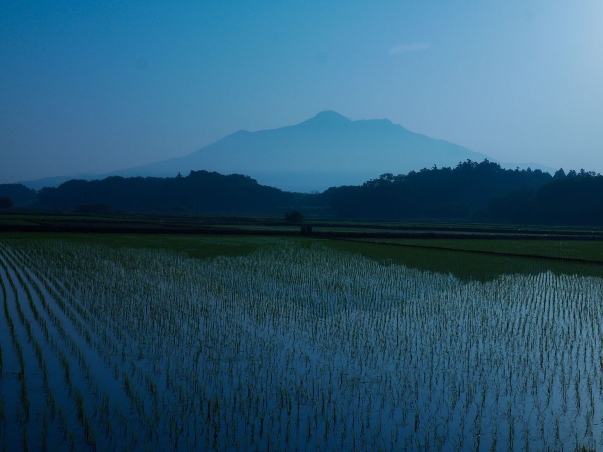 Blue transparency | GANREF