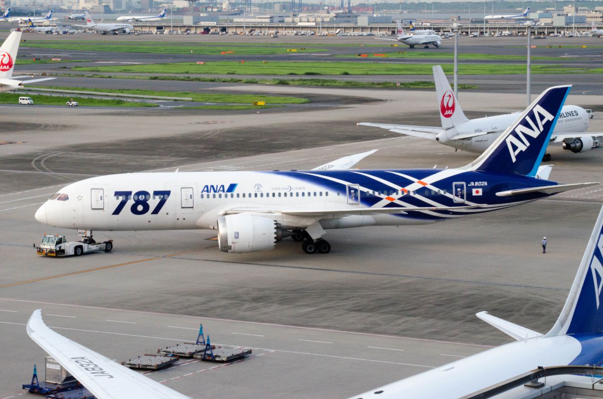 787-8 ANA弐号機 サバ塗装 | GANREF