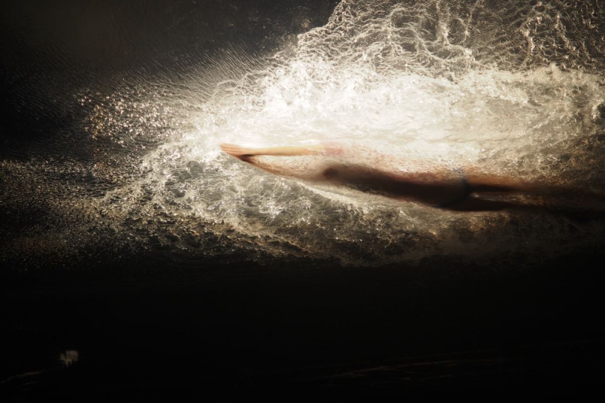 フエルサブルータNo.5 | GANREF