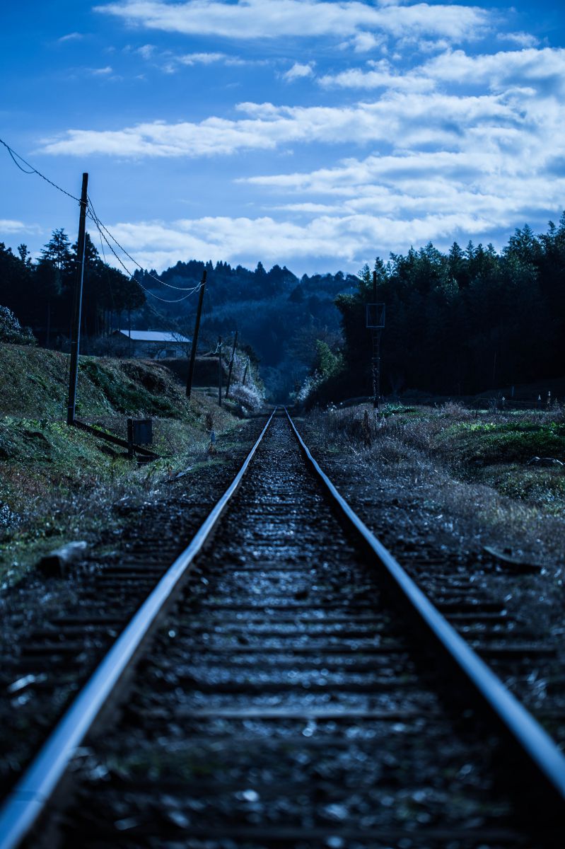 Line of only | GANREF