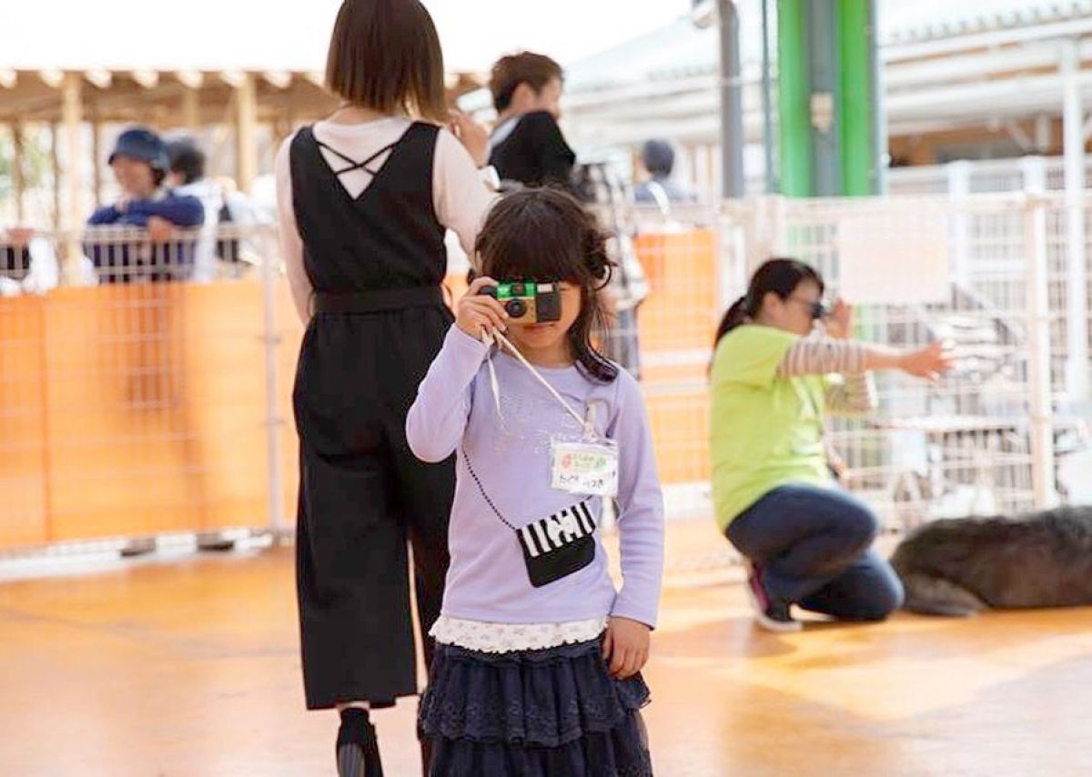 Each photograph | GANREF