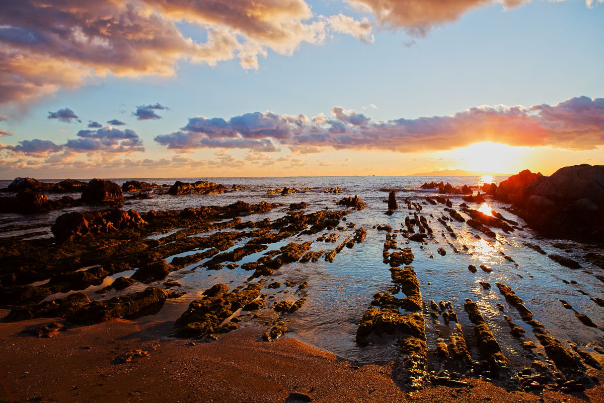 COMPOSITION | GANREF