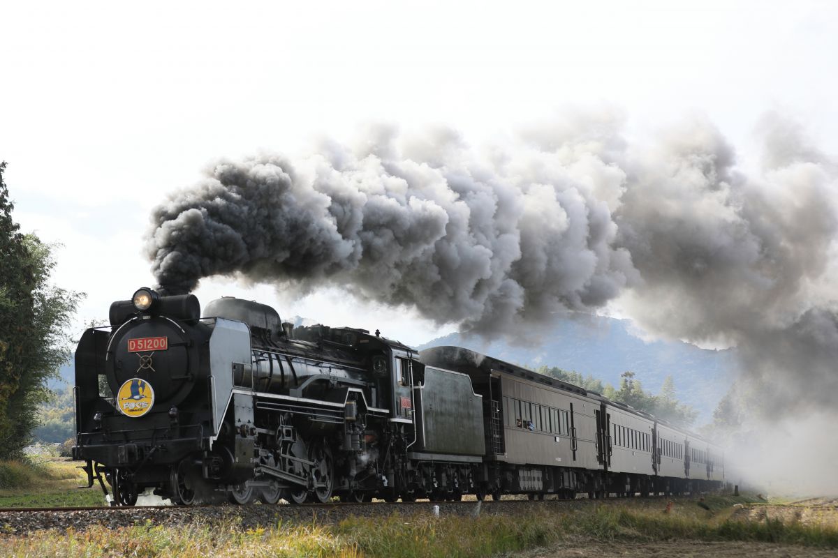 D51復活 44年ぶりの雄姿 | GANREF