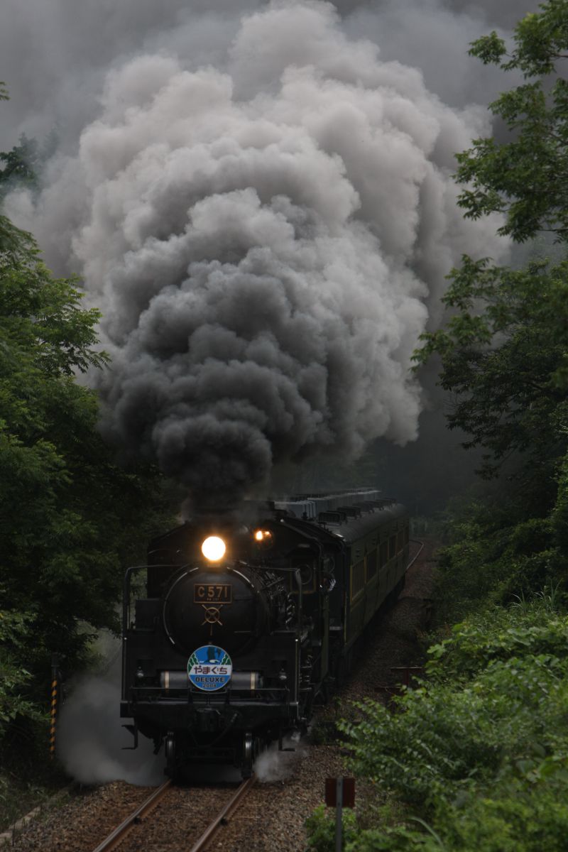 篠目の直線を駆け上るサロンカーなにわ牽引のC571＋C56160 | GANREF