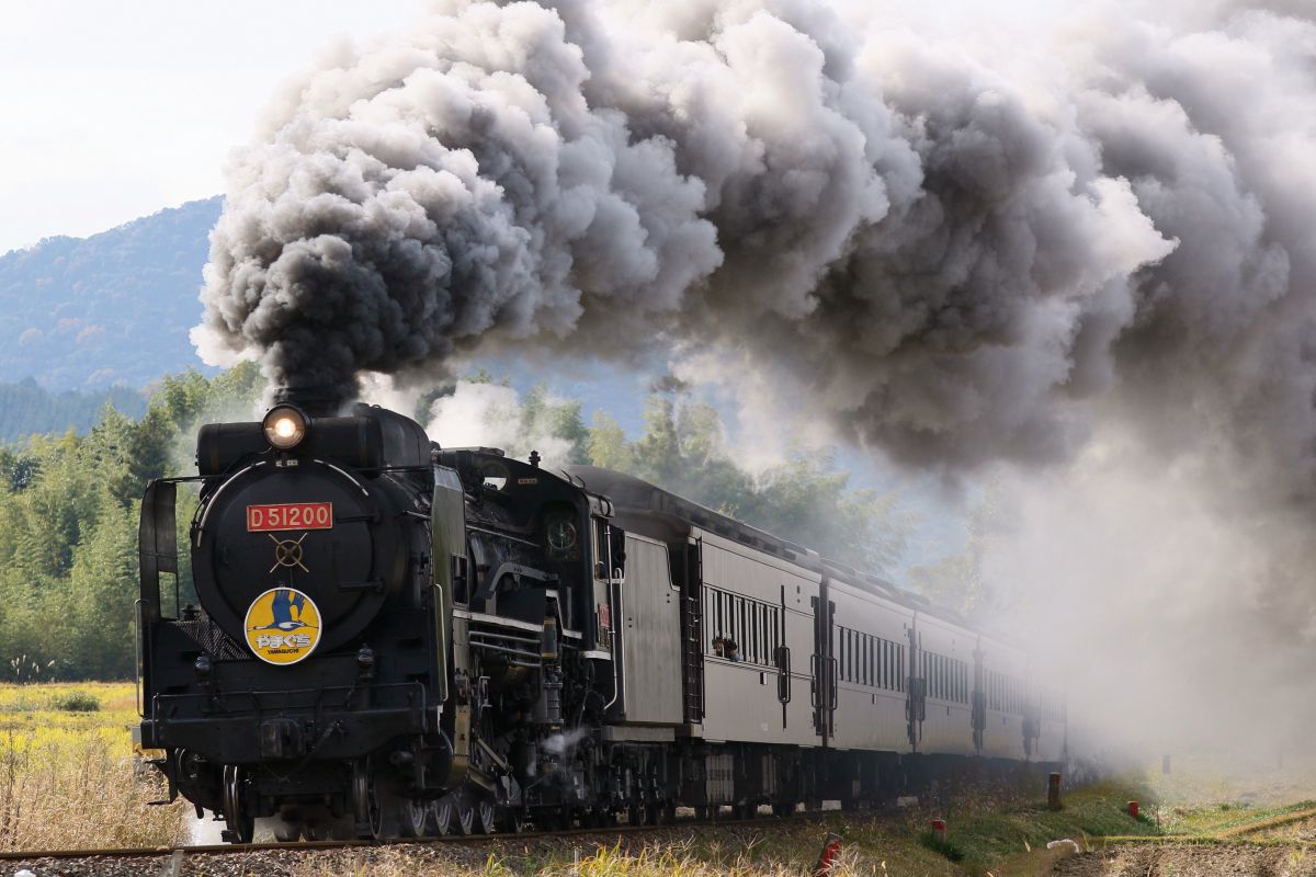 D51復活！ | GANREF