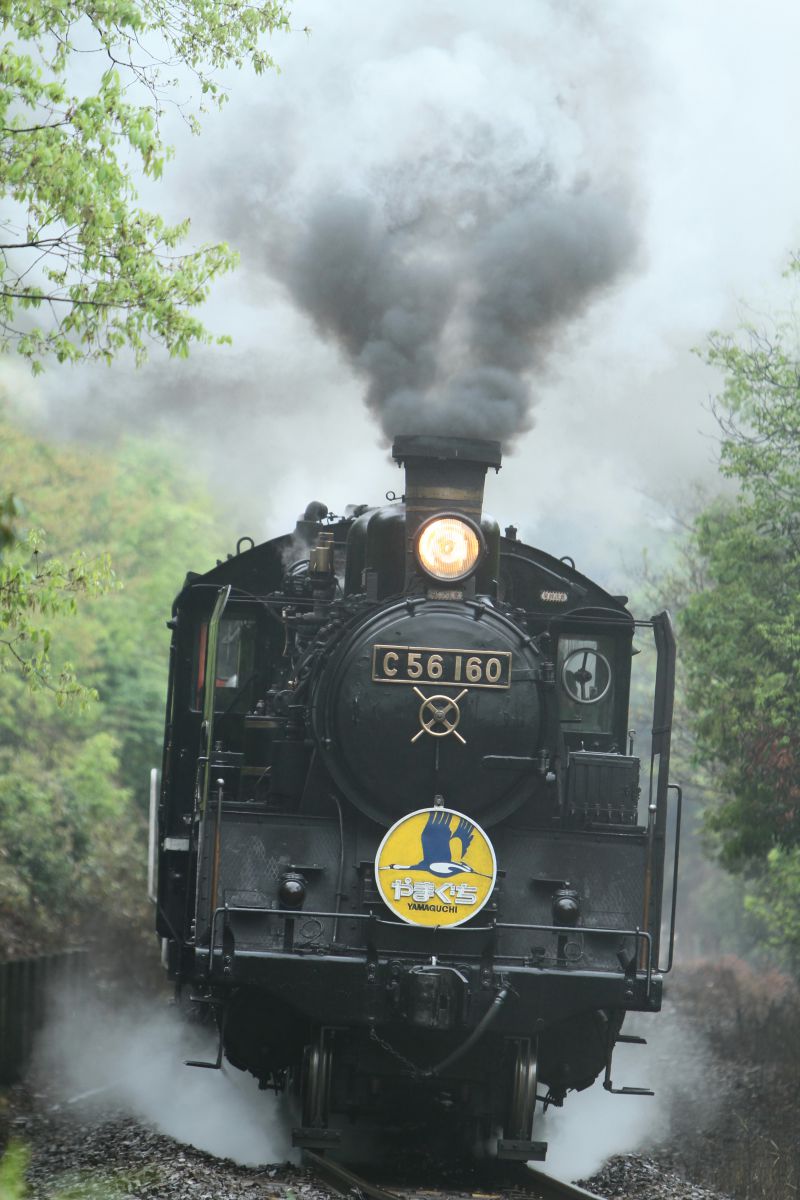 C56のSLやまぐち号 | GANREF
