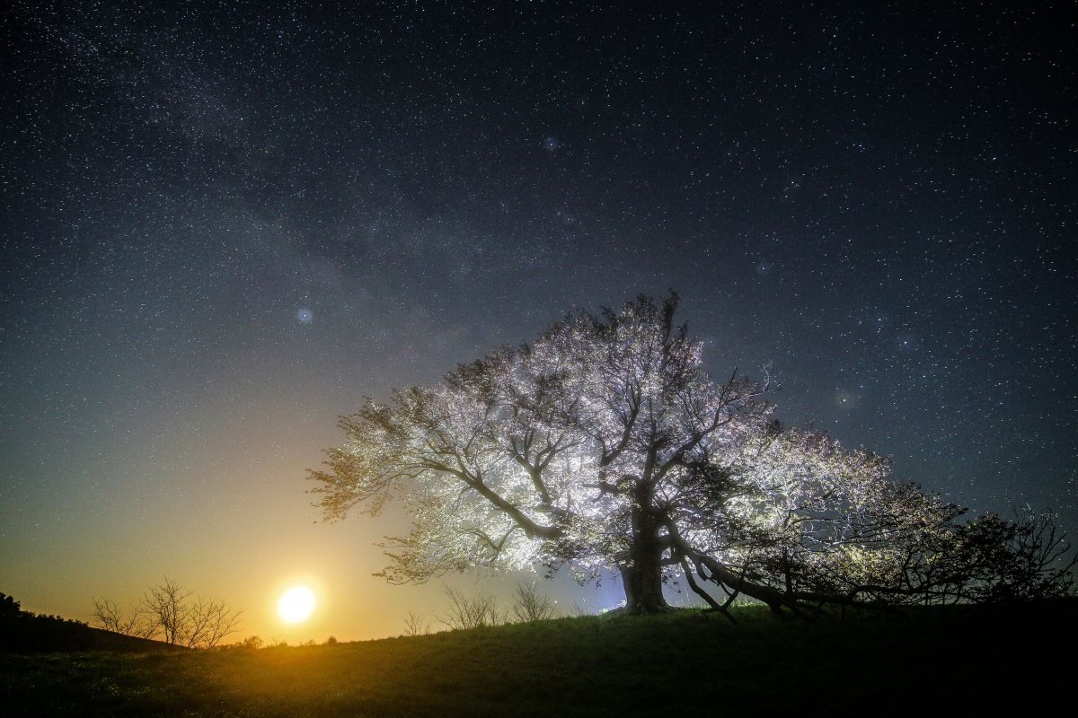 月の明かりに照らされて | GANREF