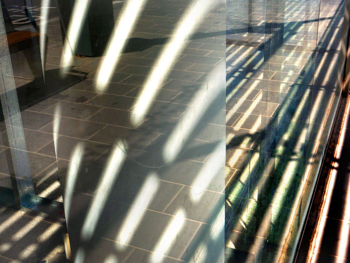 shadow lines | GANREF