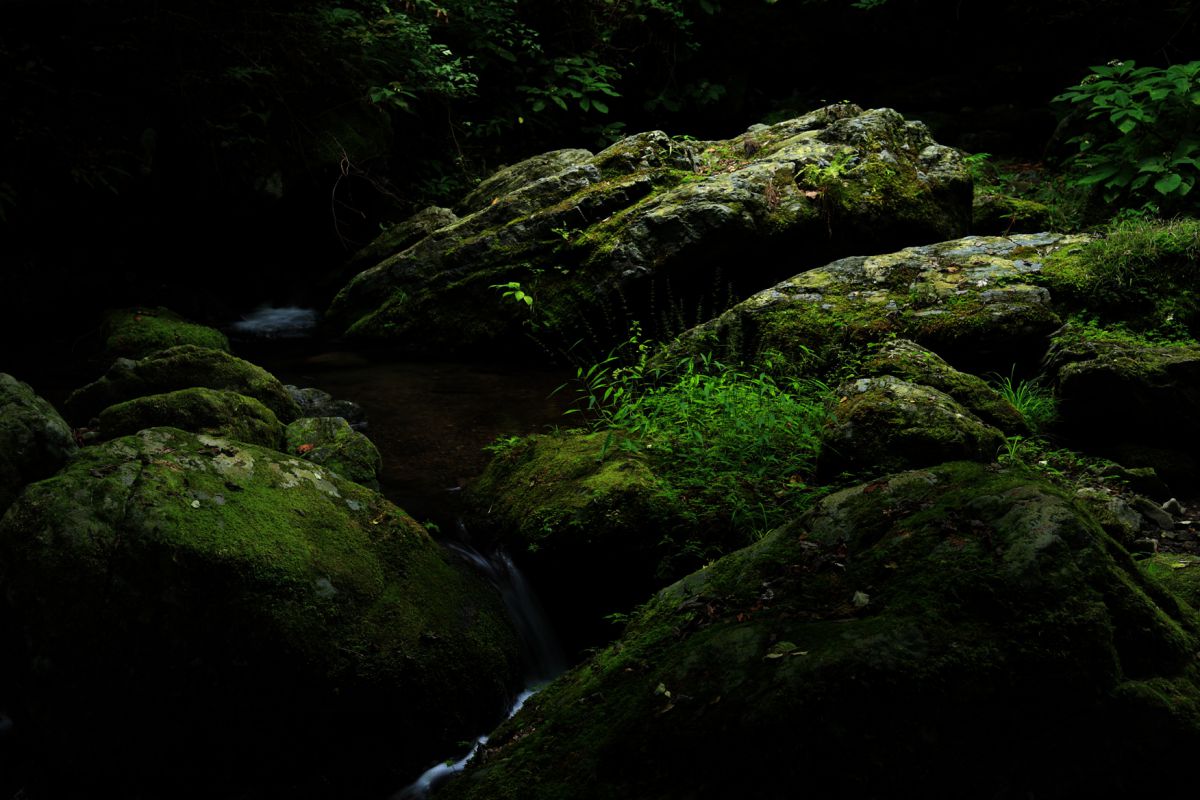 ハイライト－2 | GANREF