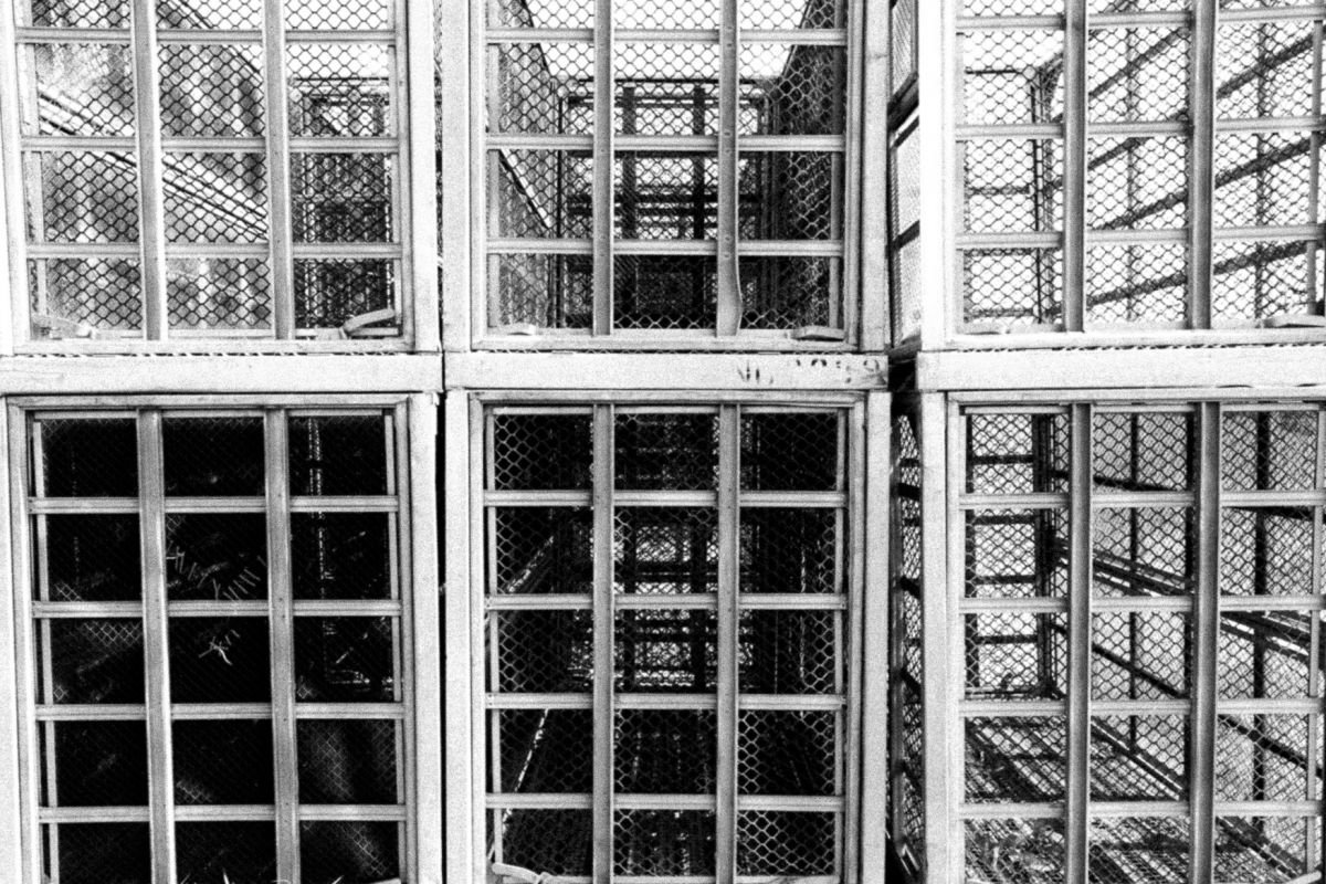 Cages | GANREF