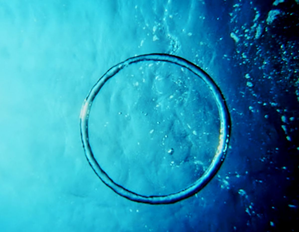 mysterious ring | GANREF