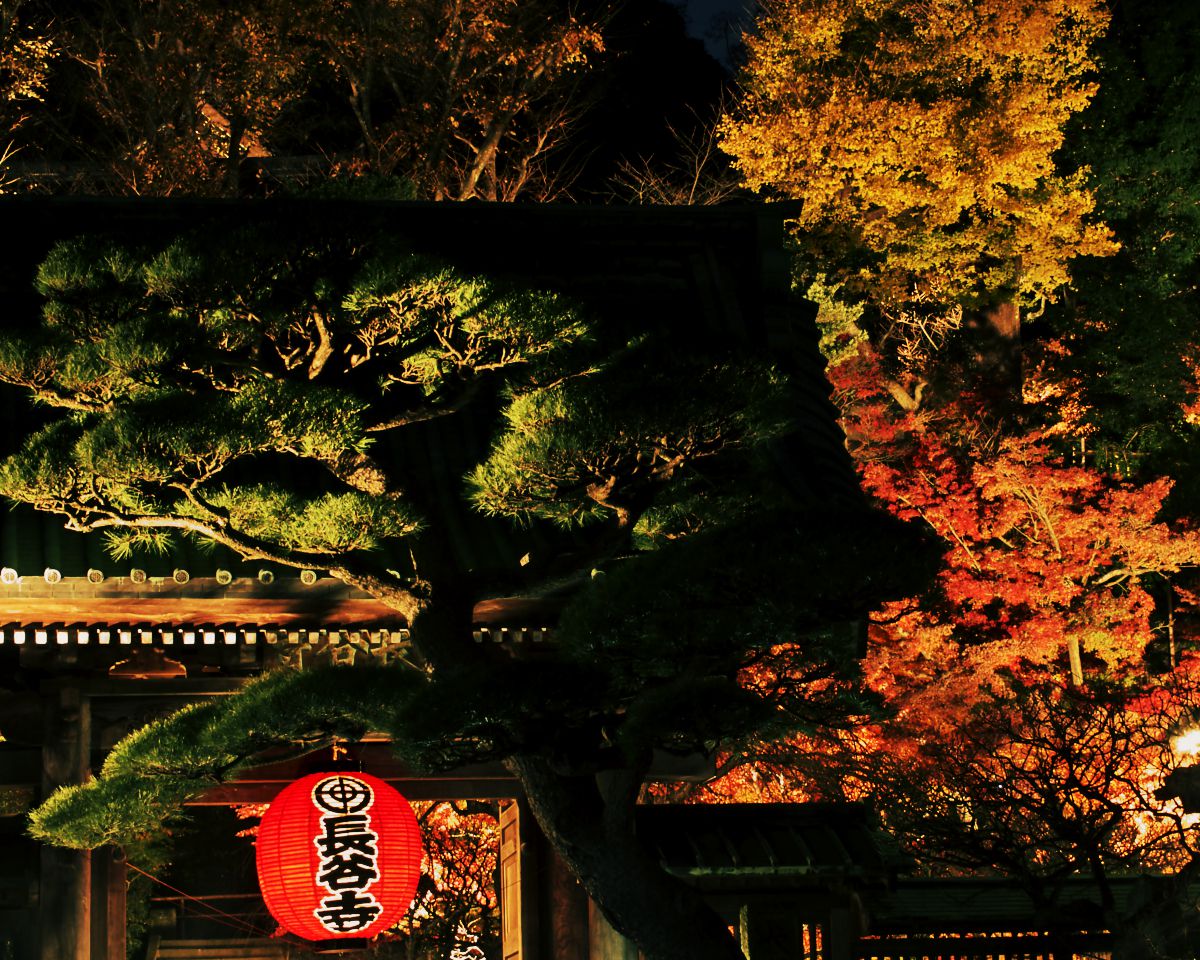 Kamakura's Hasedera Temple | GANREF