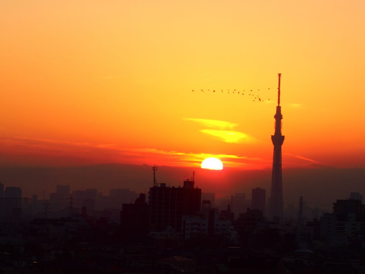AL WAYS～東京夕景Fin～ | GANREF