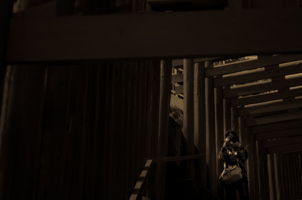 Sniper in the darkness | GANREF