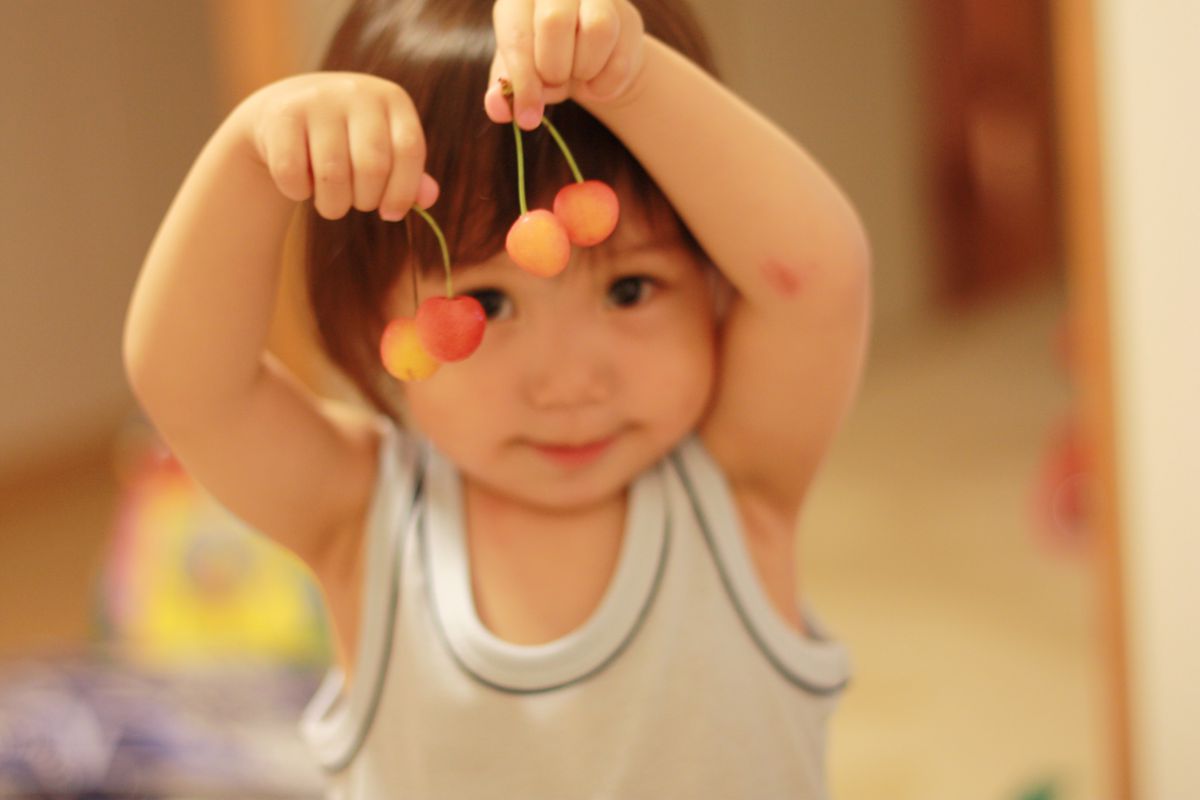 two cherries | GANREF