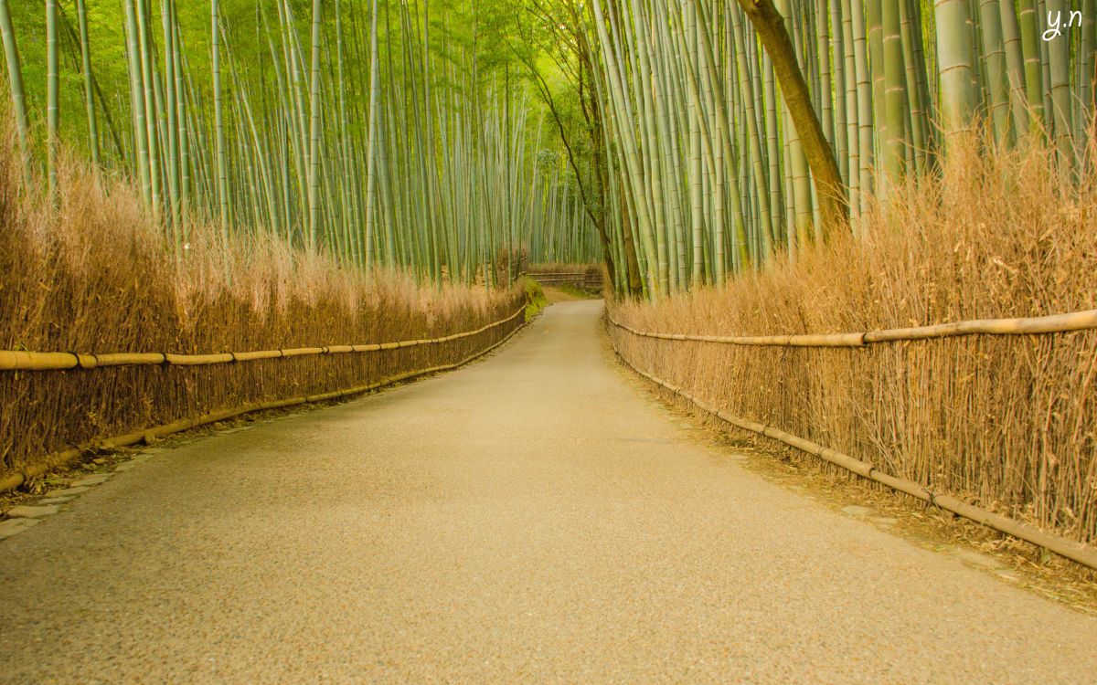 奥へ、奥へ、もう一つ、奥へ | GANREF