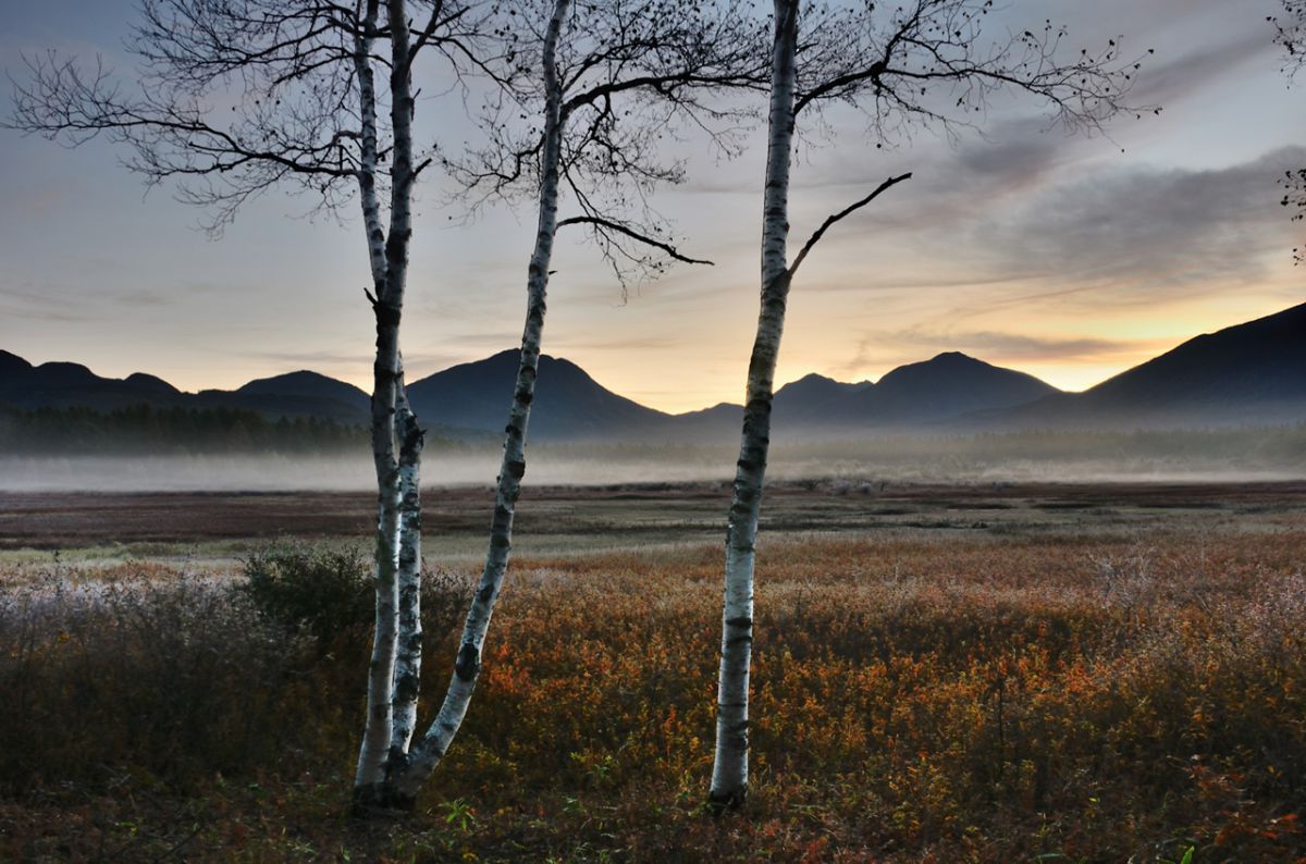 Good morning | GANREF