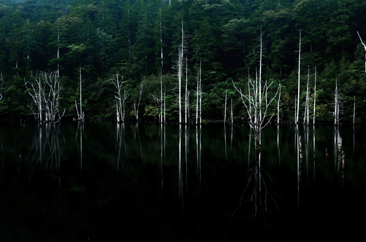 Silence and motion | GANREF