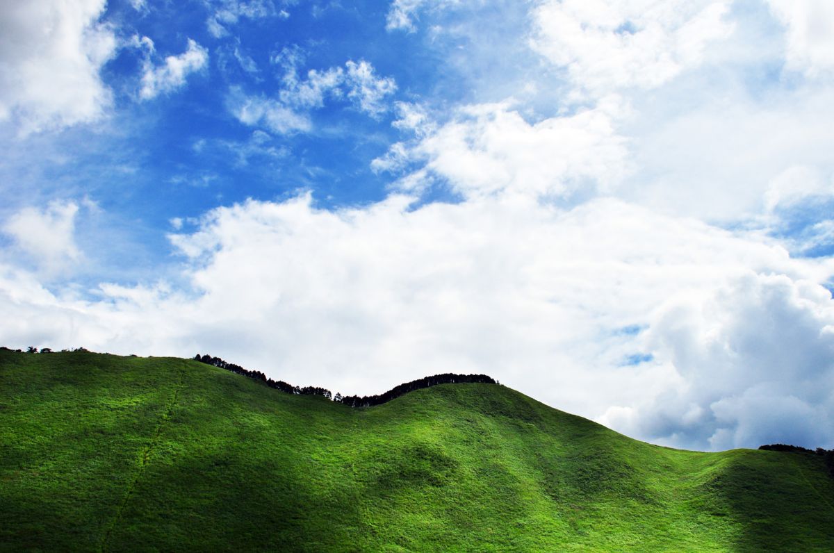 Summer hill | GANREF