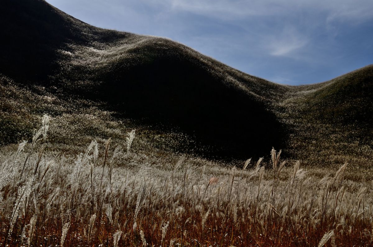 Platinum hill | GANREF