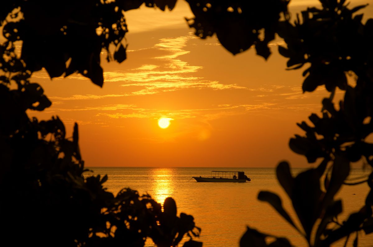 sunset memory | GANREF