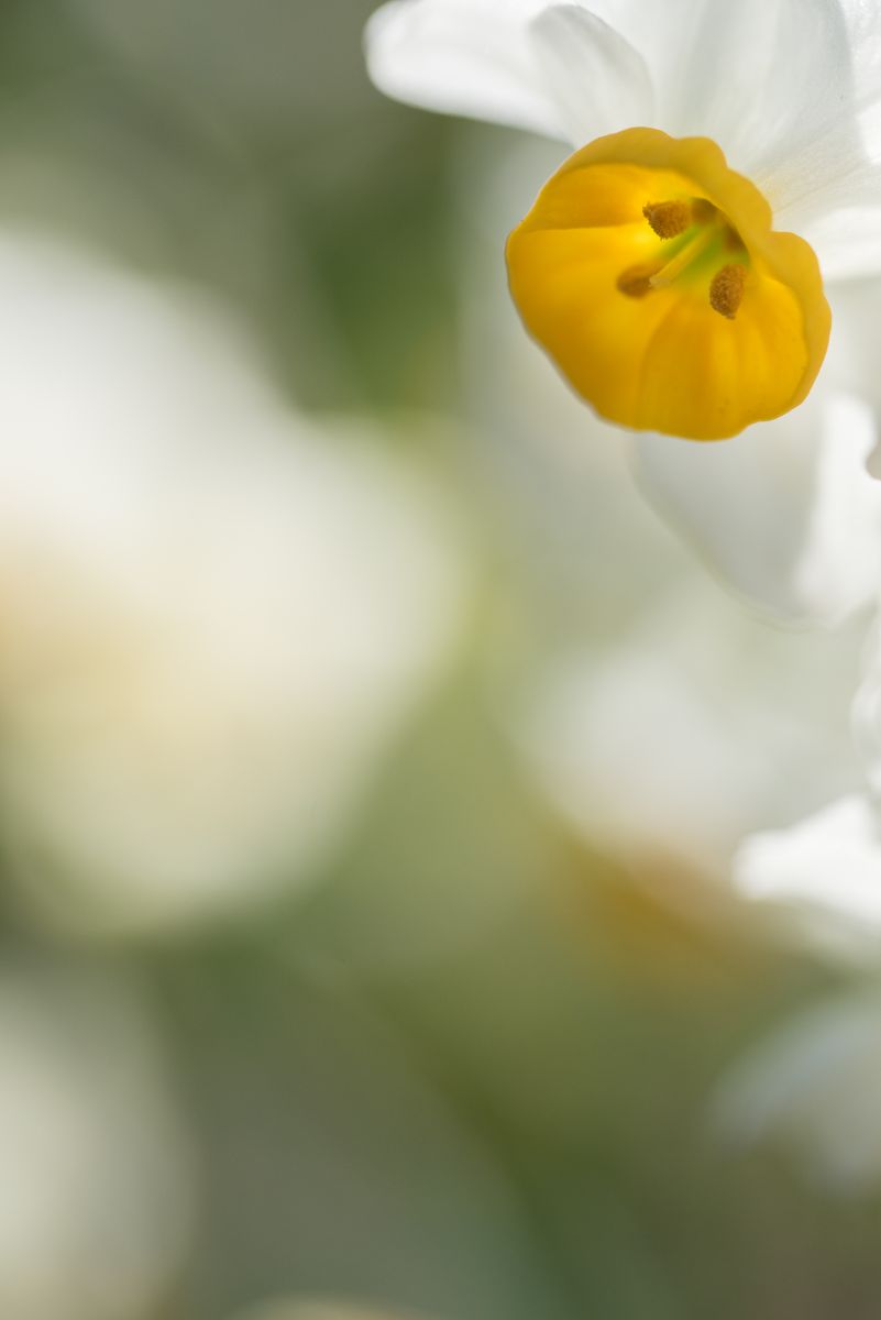 周りを照らすように | GANREF