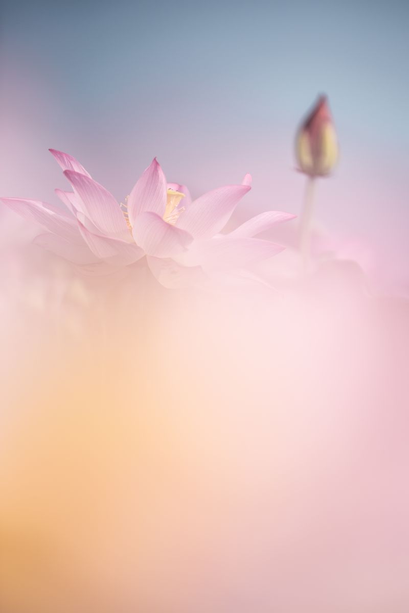 gone in the air | GANREF