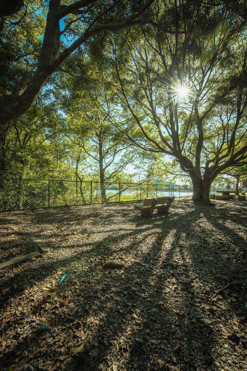 the genial sunshine | GANREF