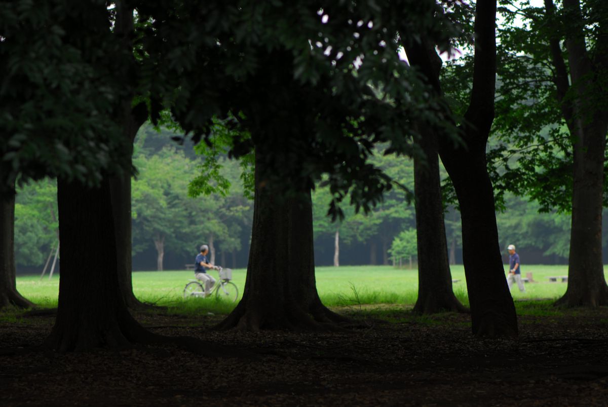 男の休日 | GANREF