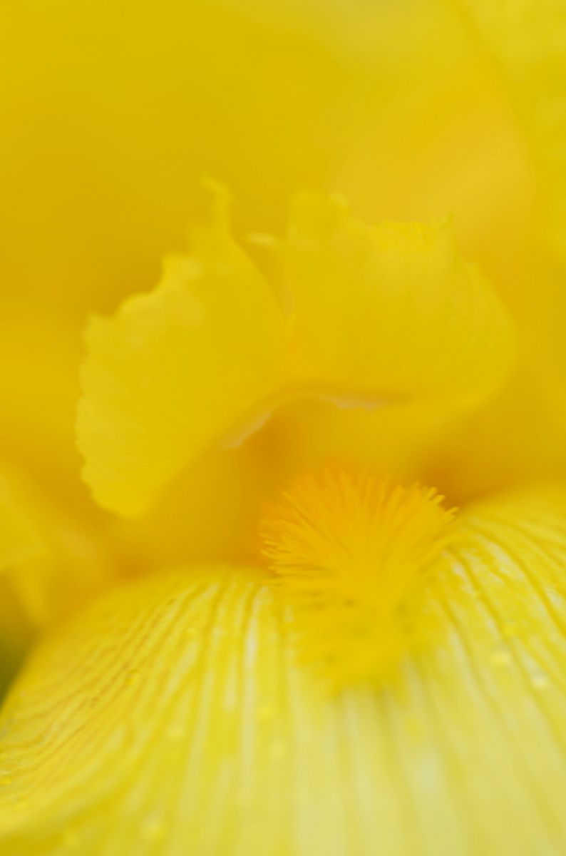 べ～っ！！ | GANREF