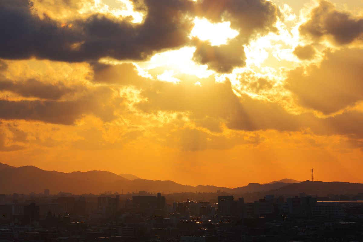 Orange Diamond. | GANREF