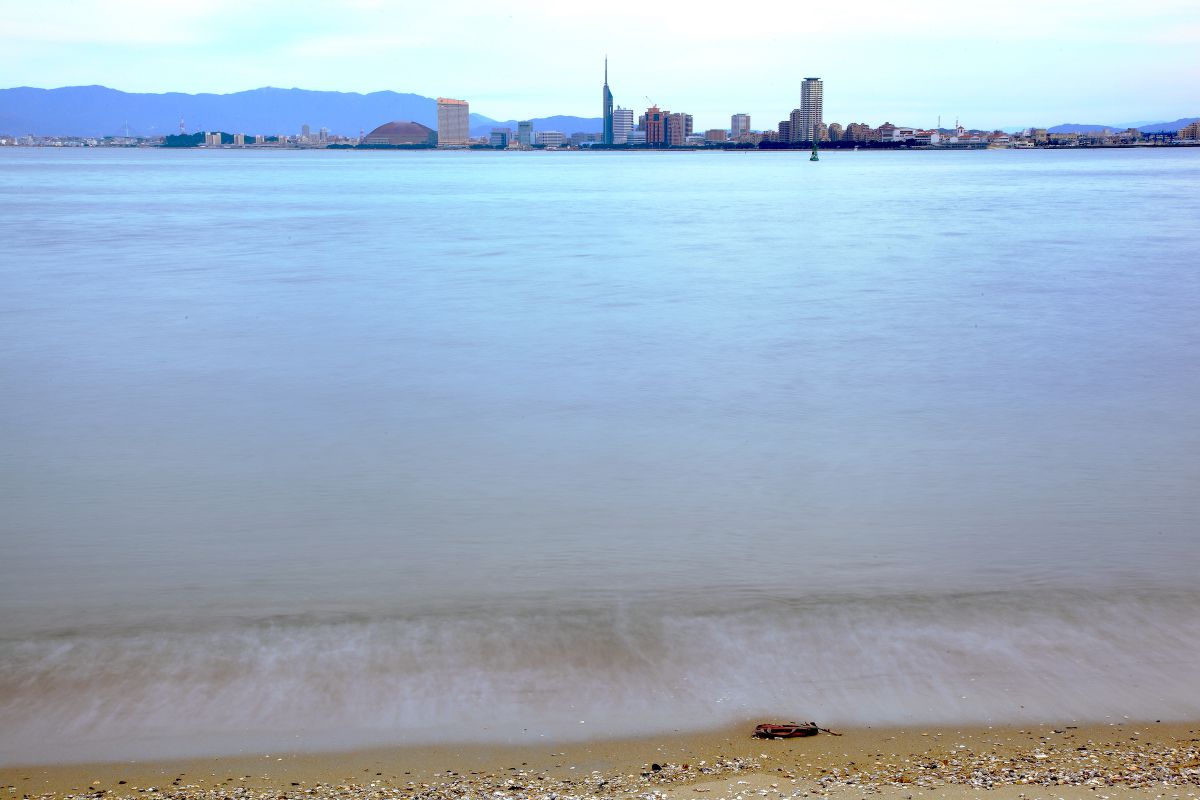 find the way. | GANREF